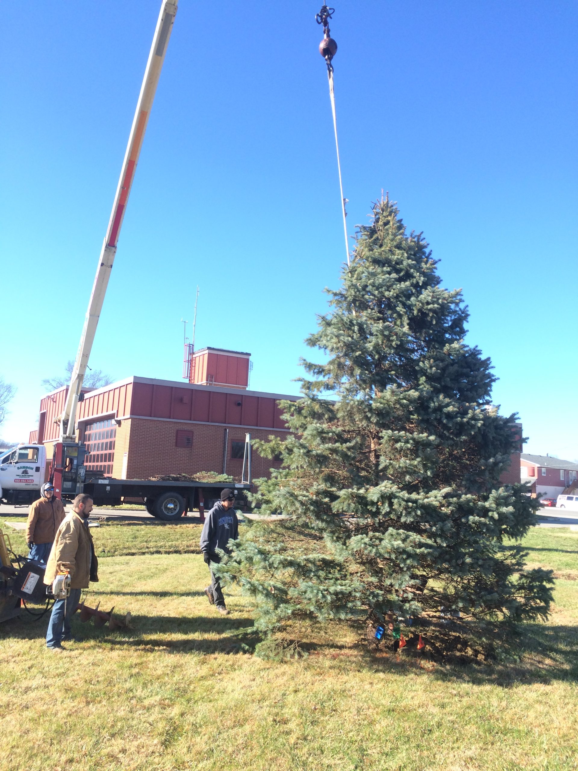 About : Samson Tree Service