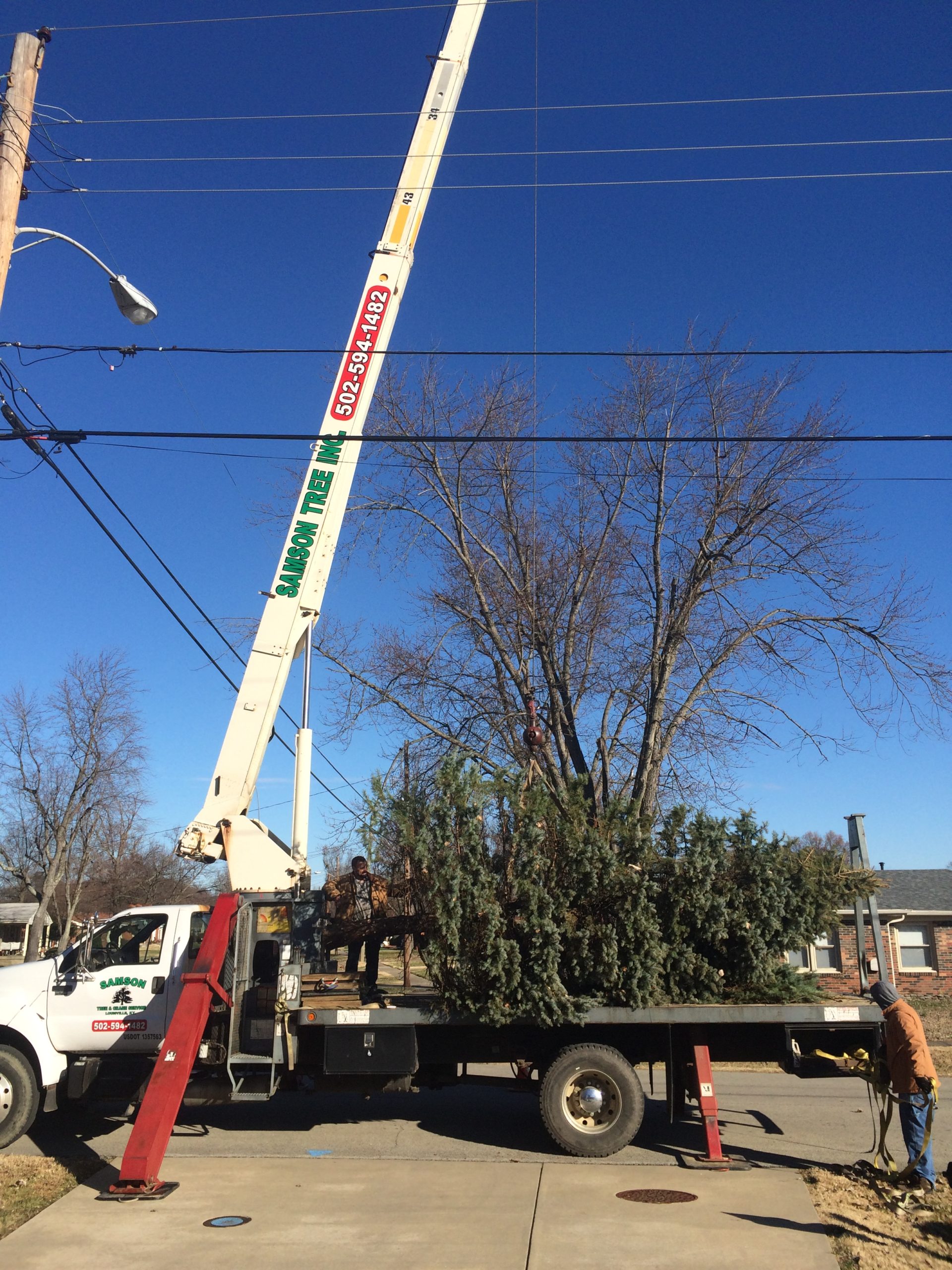 About : Samson Tree Service
