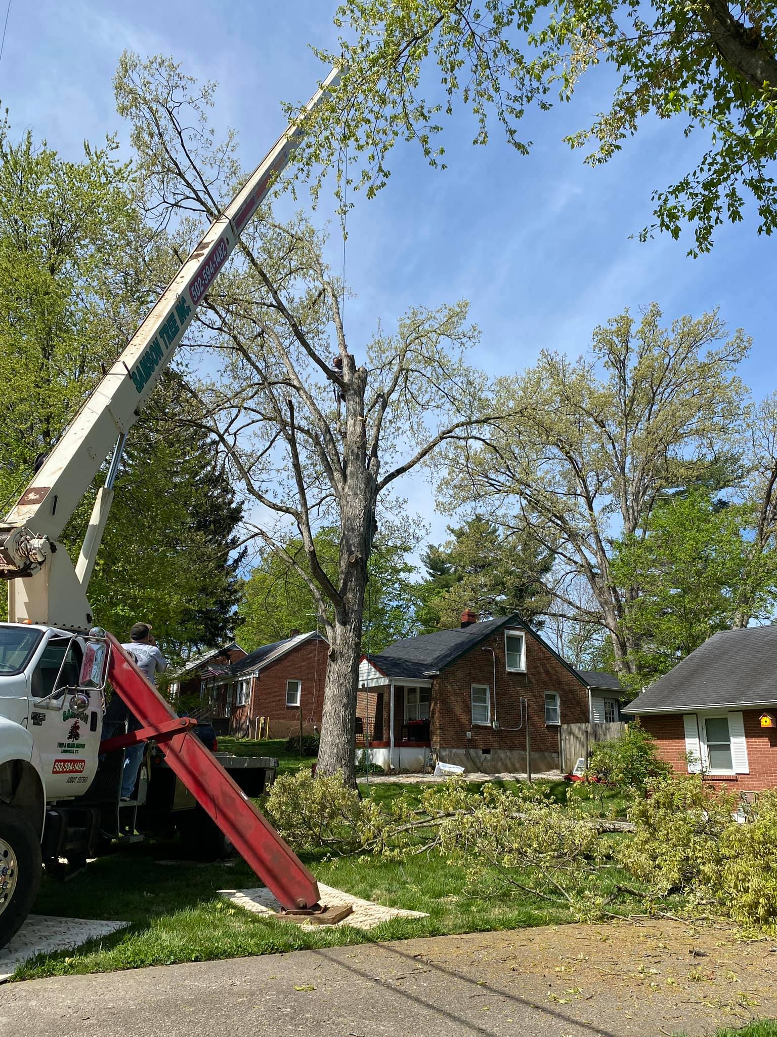 Services : Samson Tree Service