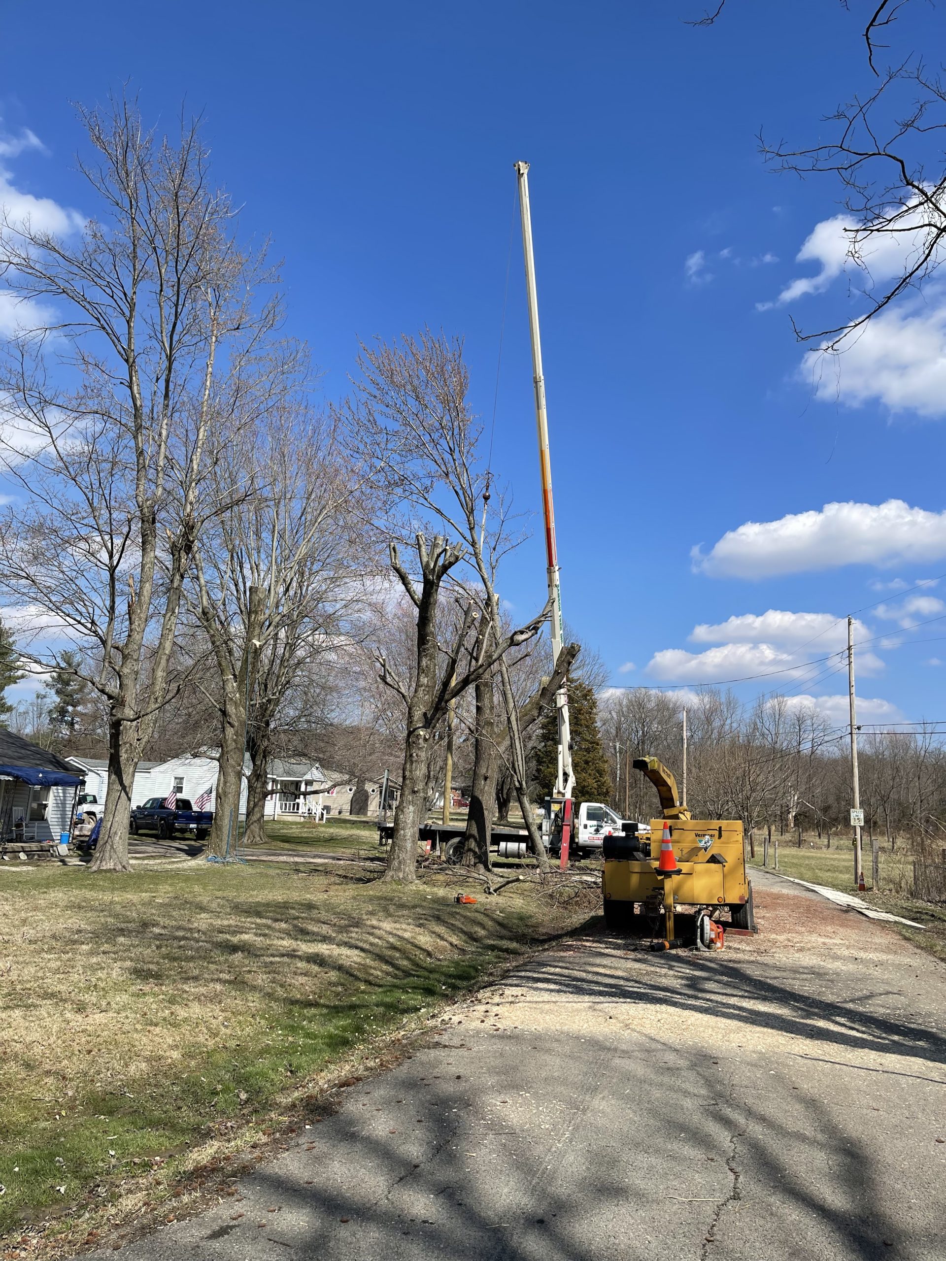 Samson Tree Service : Louisville, KY. : Free Estimate : Removal