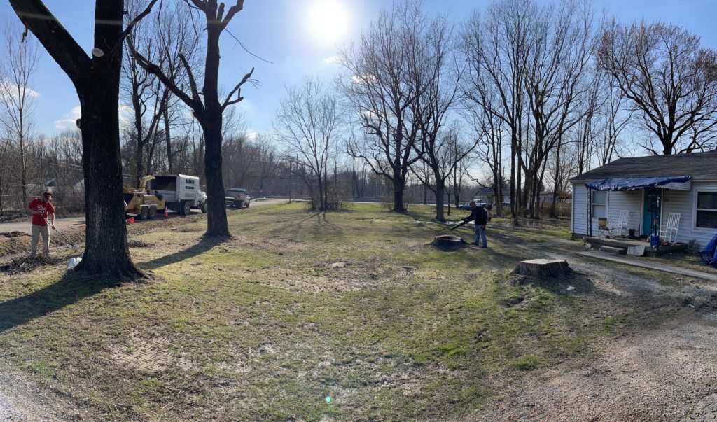 Samson Tree Service : Louisville, KY. : Free Estimate : Removal